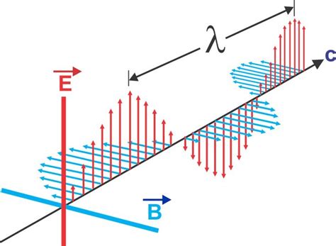 Transverse Wave Vs Longitudinal Wave 5 Shocking Differences