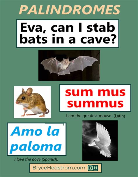 Palindrome Day Bryce Hedstrom Comprehensible Input Materials And Training