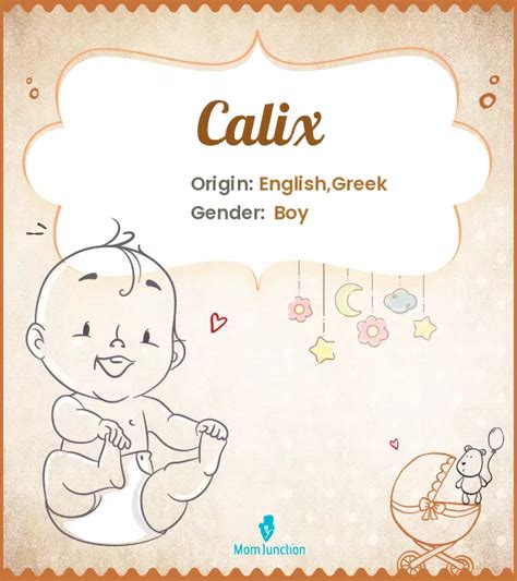 Calix Name Meaning Origin Pronunciation Popularity Guide