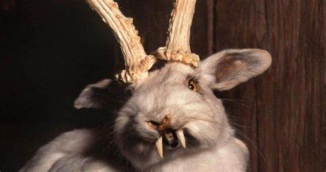 Wolpertinger: The Horned Rabbit From Bavarian Folklore