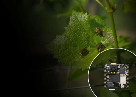 Vineyard Pest Monitoring With Arduino Pro Ras