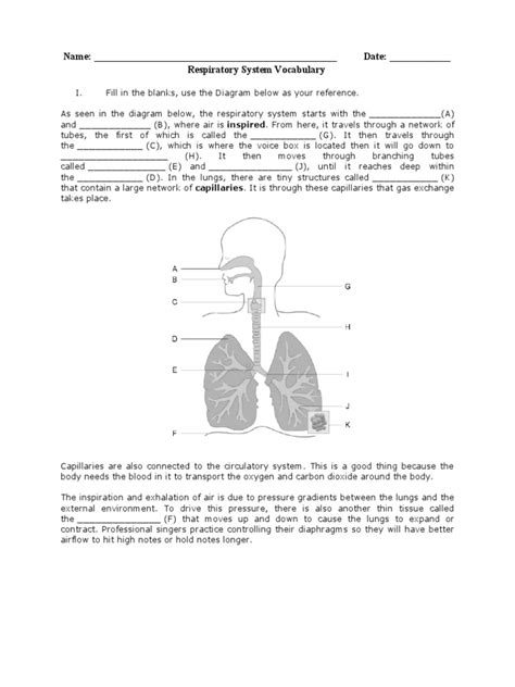 Science Quiz 2 Respiratory System Pdf Respiratory System Capillary
