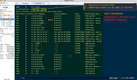 软件测试——linux操作系统操作系统测试 Csdn博客 软件测试——linux操作系统操作系统测试 Csdn博客