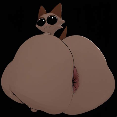Rule 34 Anus Big Ass Big Butt Car Garn47 Cat Feline Friday Night