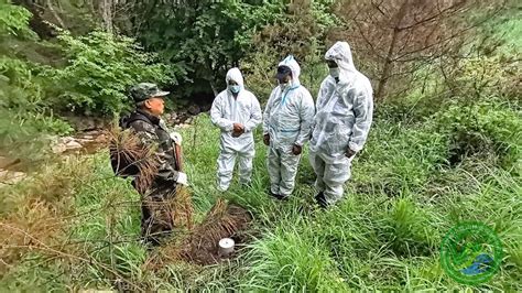 科学布点防病害 有效防治固林安 ——太碌林场开展林业有害生物防治工作 太碌林场 甘肃省小陇山林业保护中心官方网站