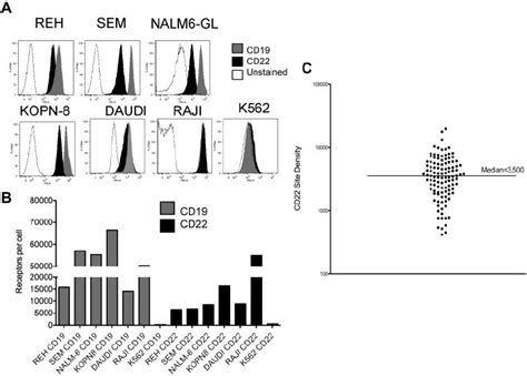 Expression Of Cd22 And Cd19 B Cell Precursor All Cell Lines A Download Scientific Diagram