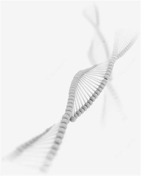 灰色现代医院细胞png免抠素材 新图网 灰色 现代 医院 细胞 花瓣网