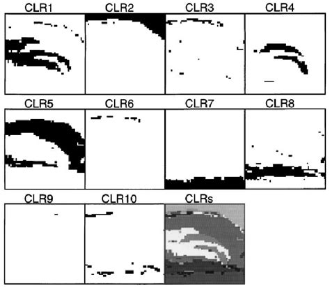 Individual And Compound Segmentation Masks Obtained By Kmc On The First