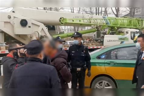 5棵歪脖树竟要价5万元 男子大闹执法现场被司法拘留15天 男子 执法