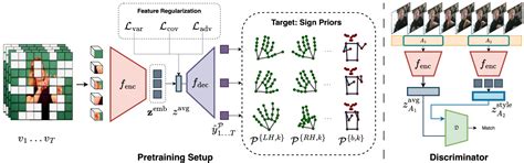 论文审查 Signrep Enhancing Self Supervised Sign Representations