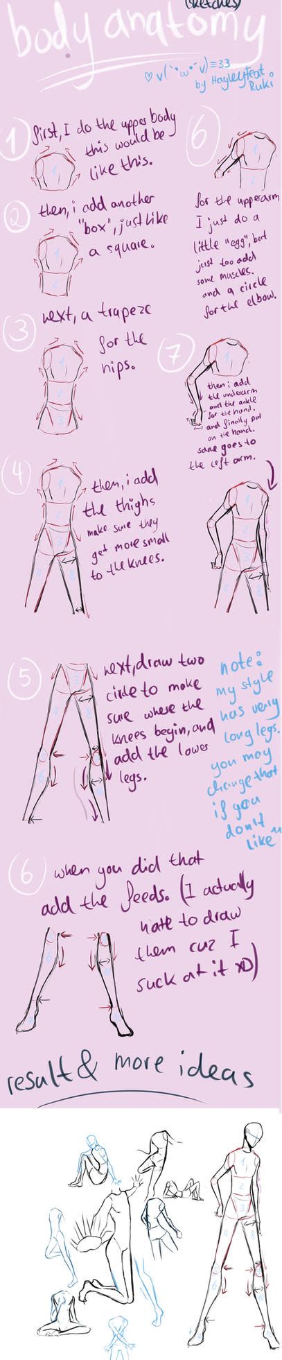Body Anatomy Tutorial Sketches By HayleyFeatRuki On DeviantArt