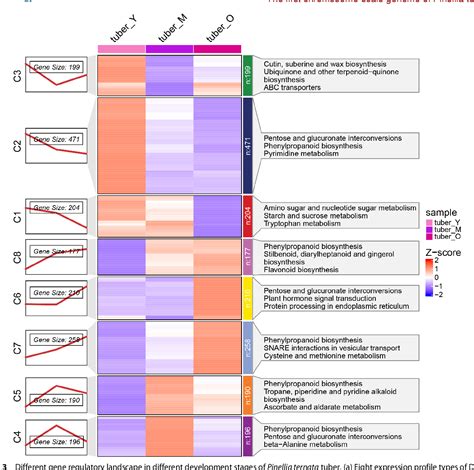 Figure 3 From A Chromosome Level Pinellia Ternata Genome Assembly Provides Insight Into The
