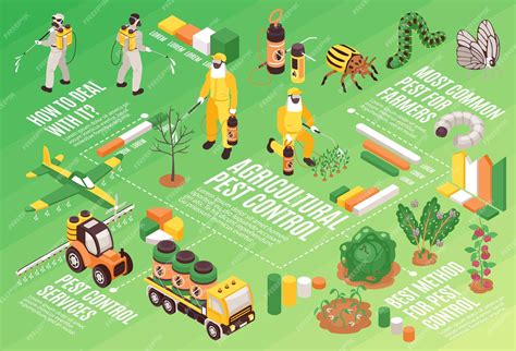 Free Vector Isometric Pest Control Flowchart With Farm Workers And