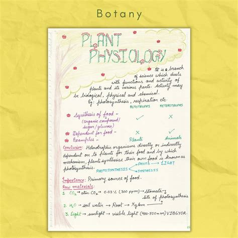 Botany Notes For Class 11 Download Complete Study Material