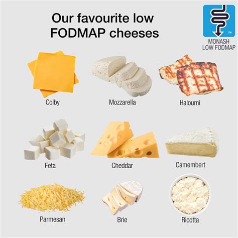 Parmesan Cheese Low Fodmap At Lori Avitia Blog
