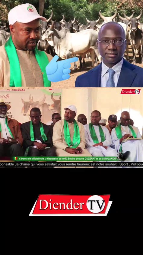 Vidéos De Diender Tv Diendertv1234 Avec Son Original Diender Tv