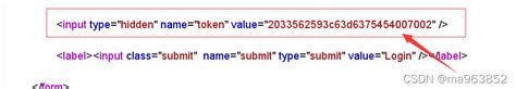 burp macros功能实现token验证爆破 burp session macro csdn博客