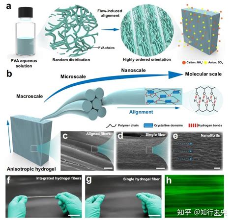 通过纳米原纤维的高度有序分层取向的生物启发结构水凝胶 知乎