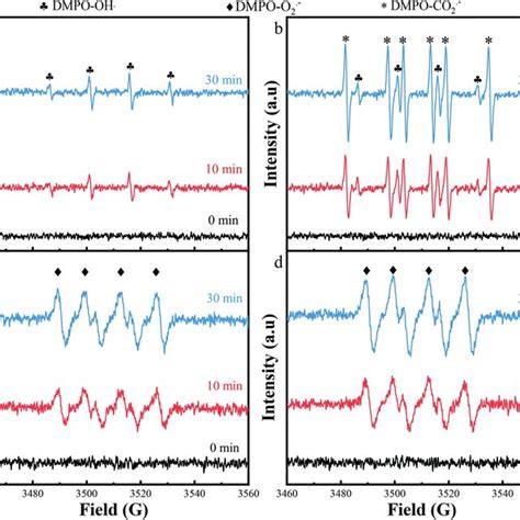 Liwu Zhang Laboratory Head Fudan University Shanghai Department Of Environmental Science