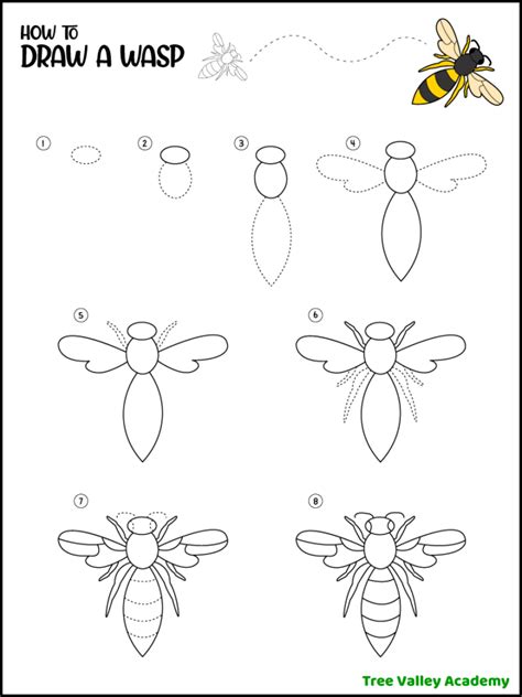 How To Draw A Wasp Tree Valley Academy How To Draw A Wasp Tree Valley Academy