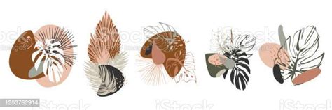 모양과 열대 잎 벡터 추상 조성물의 집합입니다 현대 미니멀 한 예술 선형 예술의 요소 세련된 트렌드 색상 직물 디자인 티셔츠 카드 명함 무드 보드 및 캘린더 인쇄 나뭇가지에