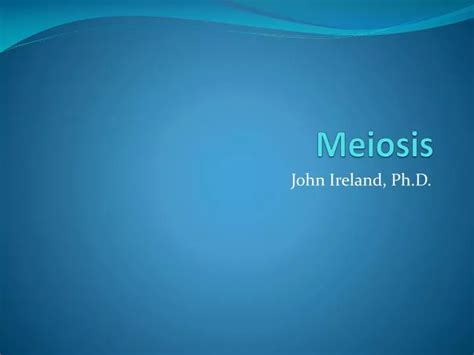 Ppt Meiosis Powerpoint Presentation Free Download Id 2279139