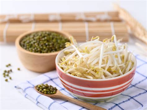 Bean Sprouts For Sandwiches At Erika Nelson Blog