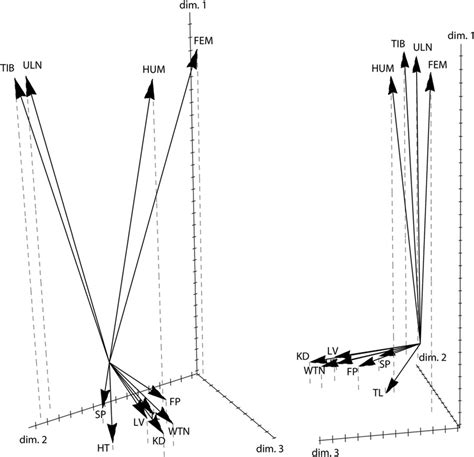 Two Different Projections Of The Threedimensional Phenotype Space Download Scientific Diagram
