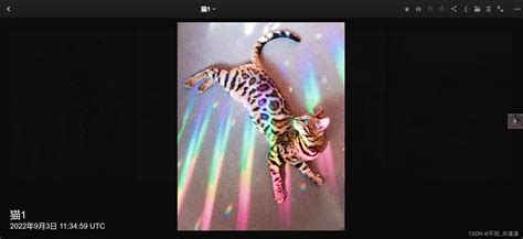 猿创征文｜给妈妈做个相册——在服务器上搭建lychee相册的保姆级教程docker Lychee Csdn博客