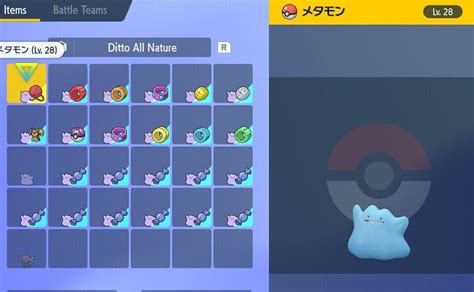 What Happens If You Breed With A Shiny Ditto At Molly Paton Blog