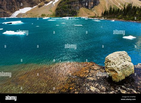 Icebergs On Iceberg Lake Many Glacier Glacier National Park Montana