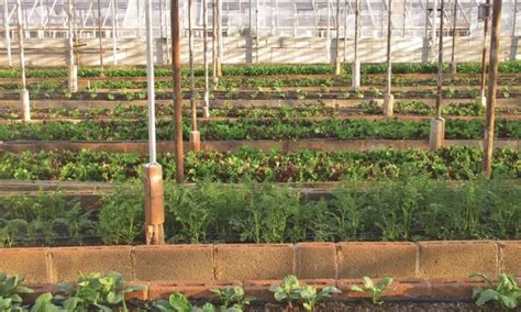 Производители алармират 10 000 надценка на водата за земеделците назряват протести ᐉ Новини