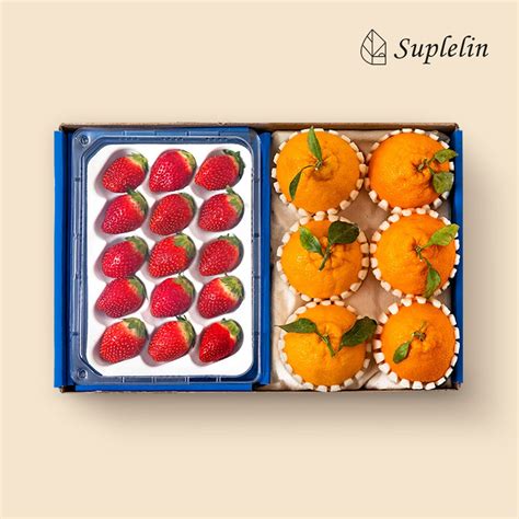 수플린 프리미엄 금실딸기 And 한라봉 선물세트 총 18kg내외 홈플러스 택배배송