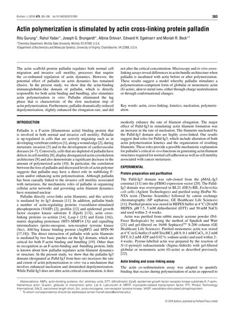[pdf] Actin Polymerization Is Stimulated By Actin Crosslinking Protein Palladin