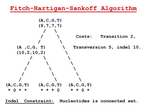 overview pairwise alignment again triple quadruple many ppt download