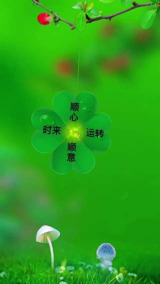 心想事成 顺心顺意 其他手机动态壁纸 其他手机壁纸下载 元气壁纸