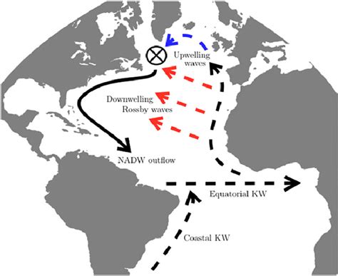 Schematic Of Suggested Kelvin And Rossby Wave Propagation Pathways From Download Scientific