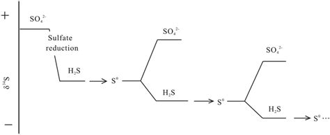 Generalized Scheme Showing The Oxidation And Disproportionation During Download Scientific