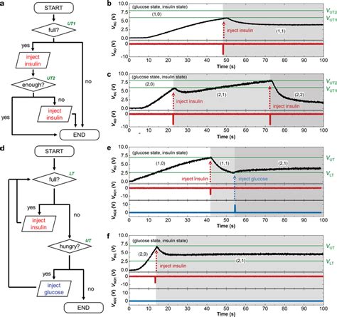 A Logical Algorithm Of Glucose‐level Regulation System Using Download Scientific Diagram