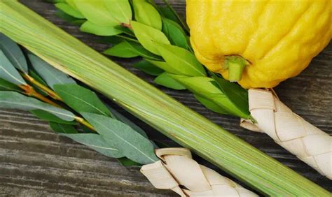 Chag Sameach From Israel National News The Israel Chronicle News