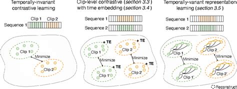 Spatiotemporal Representation Learning For Short And Long Medical Image Time Series Paper And Code