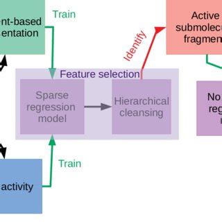 Schematic Of The Basic Hunting FOX Algorithm We Compute A