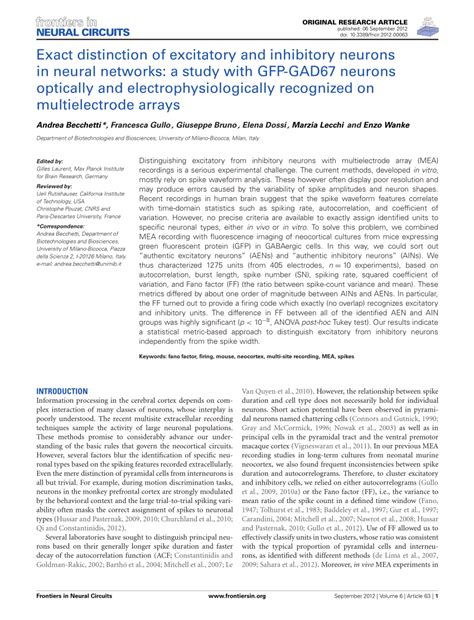 Pdf Exact Distinction Of Excitatory And Inhibitory Neurons In Neural