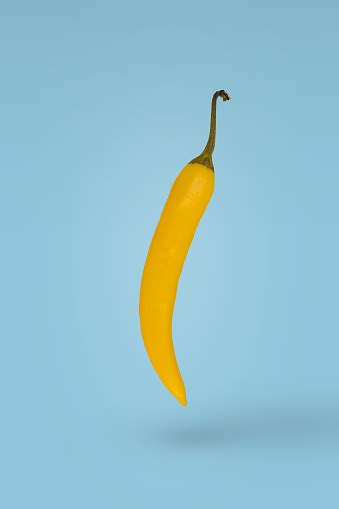푸른 배경에 고립 된 공기에 떠있는 노란색 뜨거운 칠리 페퍼 0명에 대한 스톡 사진 및 기타 이미지 0명 개념 개념 실재론 Istock