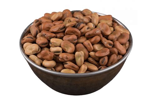 سعر الفول اليوم الخميس 22 أغسطس 2024 بوابة الزراعة