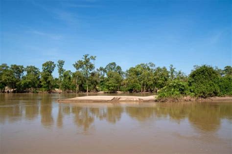 Stung Treng Mekong River Boat Cruise To The Flooded Forests The