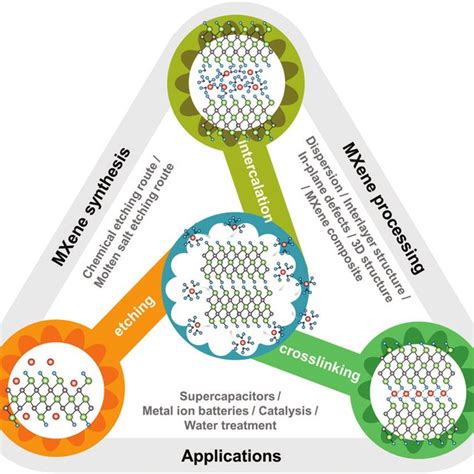 Interactions Between Mxene And Metal Ions In Mxene Synthesis Download Scientific Diagram