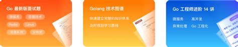 极客时间训练营 Go 实战训练营 尚硅谷