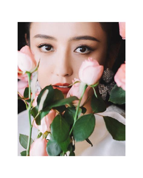 佟丽娅置身粉玫瑰花海宛若仙女 微微一笑人比花娇 搜狐大视野 搜狐新闻
