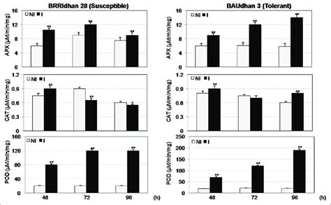 Ascorbate Peroxidase Apx Catalase Cat And Peroxidase Pod